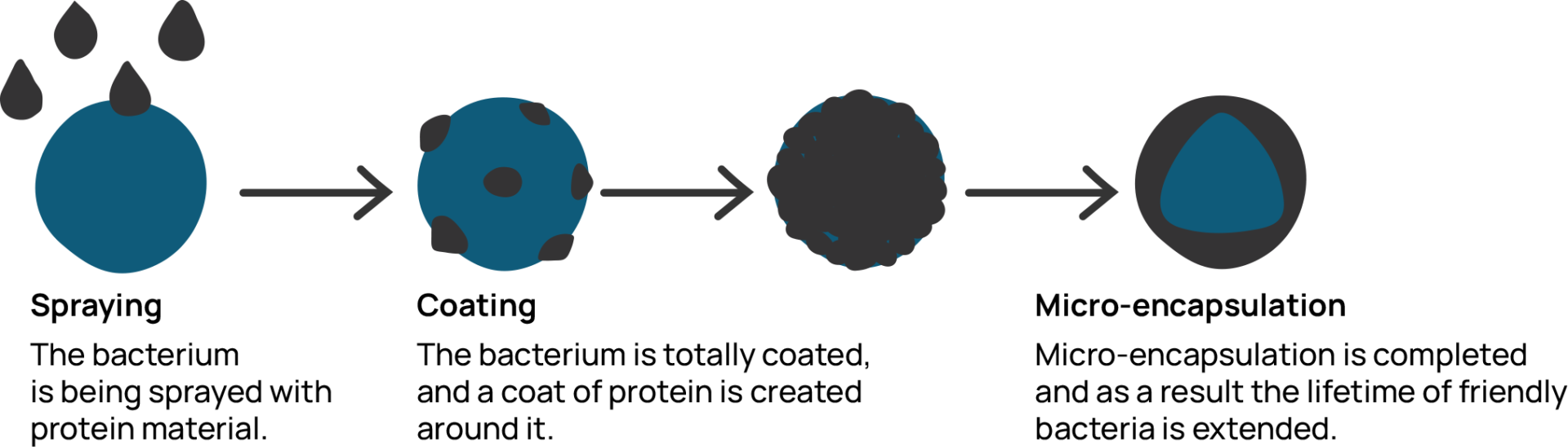 PROBIOTICS – Olonea